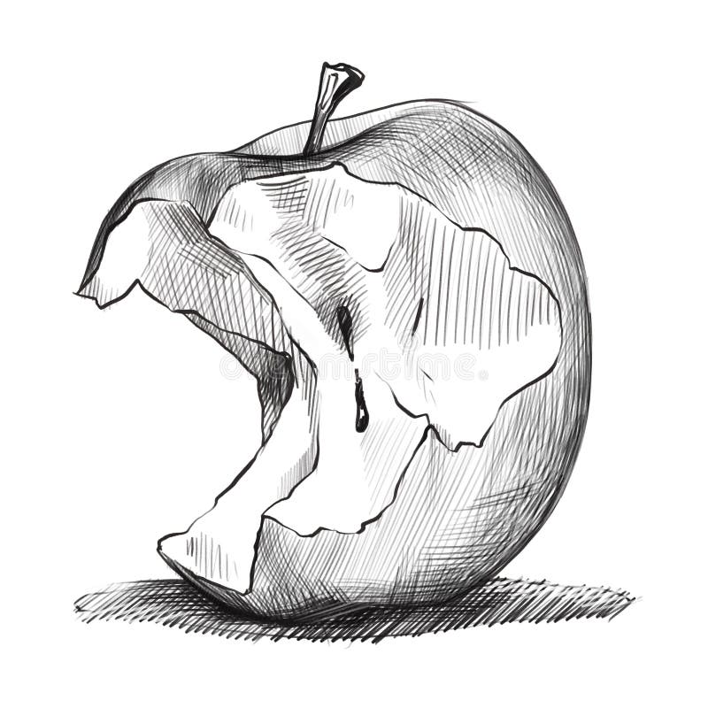 Bitten Apple Isolated Sketch on White Background Stock Illustration ...