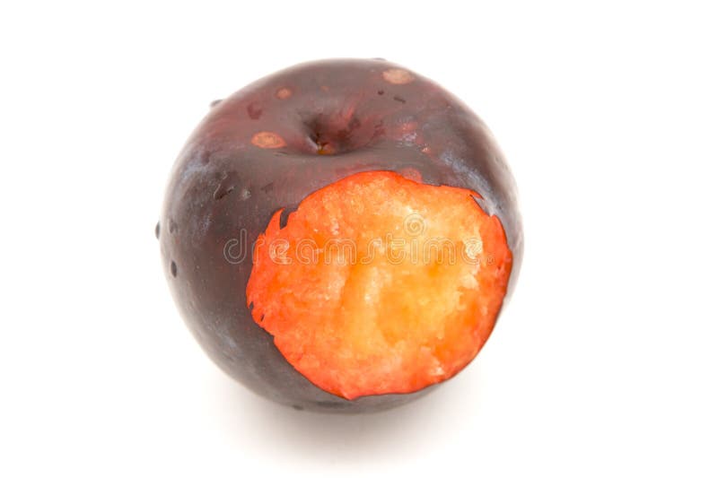 Bitten plum stock photo. Image of tasty, diet, bitten - 7358314