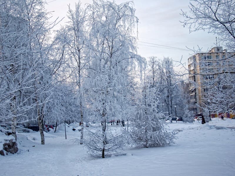 The Bitter Cold Night in Moscow Stock Image - Image of winter, tree ...
