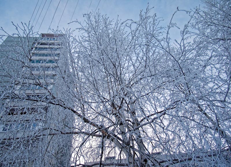 The Bitter Cold Night in Moscow Stock Photo - Image of white, frozen ...