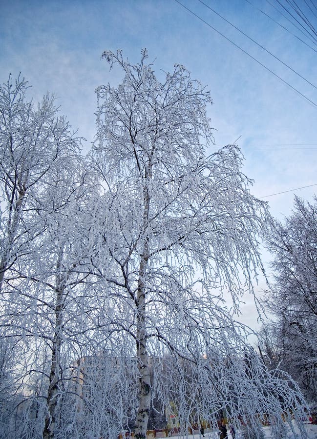 The Bitter Cold Night in Moscow Stock Photo - Image of landscape ...