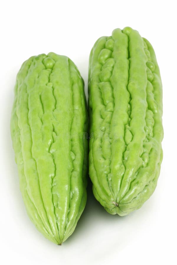 Small Bitter Gourd stock photo. Image of nutritious, macro - 5891182