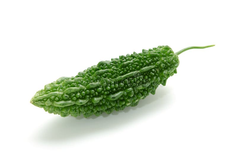 Bitter gourd stock photo. Image of outline, pear, vegetarian - 9266590