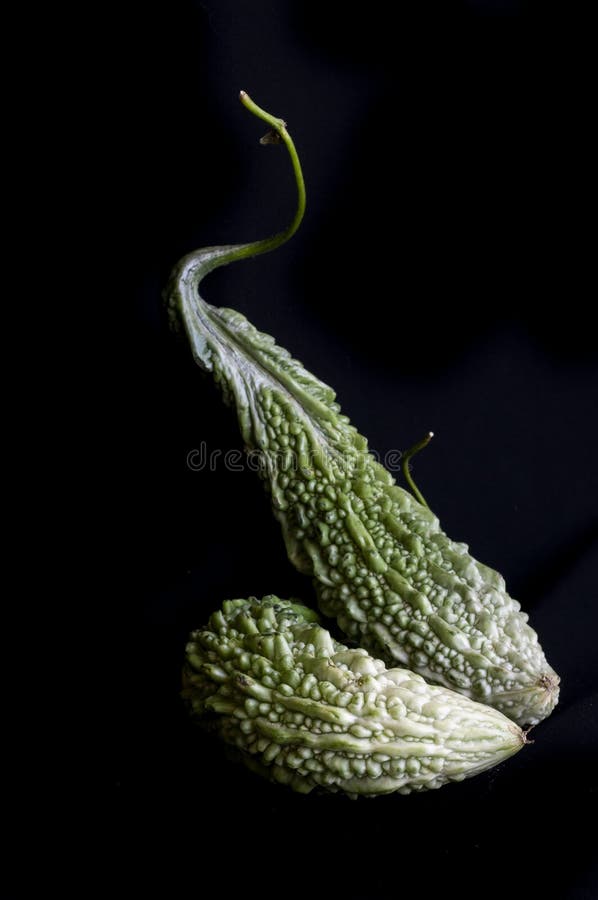 Bitter Gourd Vegetables on a Plain Black Background Stock Image - Image ...