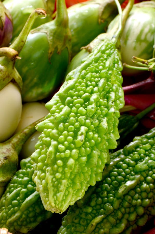 Ny bitter kalebass. arkivfoto. Bild av äta, natur, nytt - 33265436