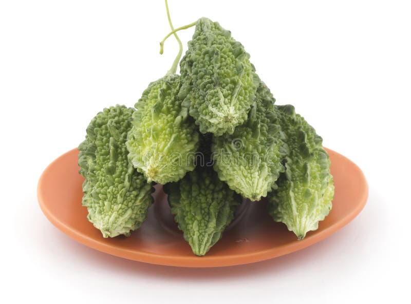 Bitter kalebass fotografering för bildbyråer. Bild av naturligt - 104337949