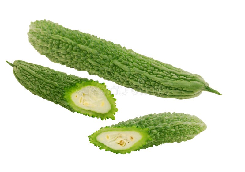 Bitter Melon stock photo. Image of white, green, vegetable - 26449320