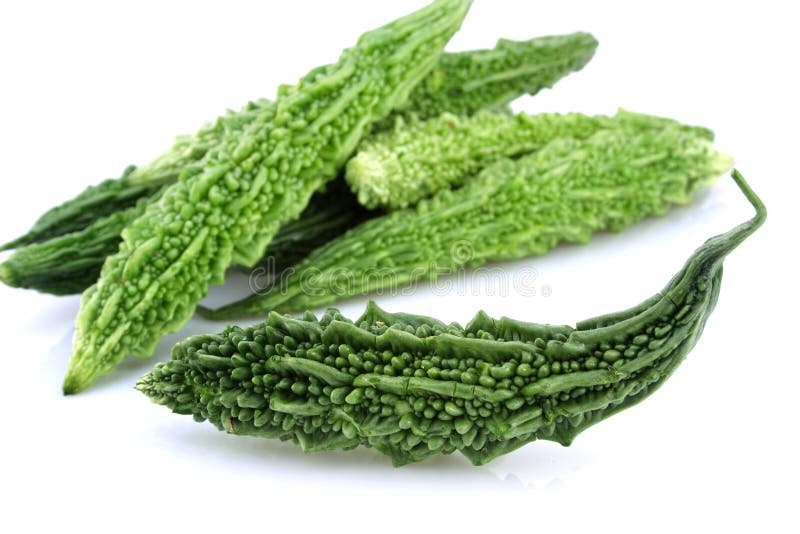 Bitter gourd leaf stock photo. Image of agriculture, gourd - 24130190