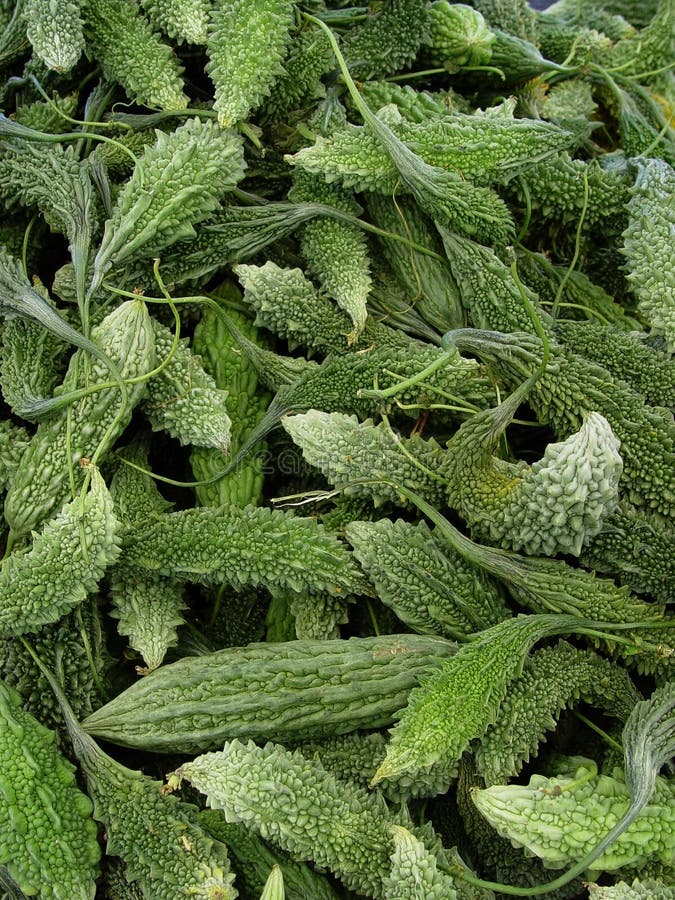 Small Bitter Gourd stock photo. Image of nutritious, macro - 5891182
