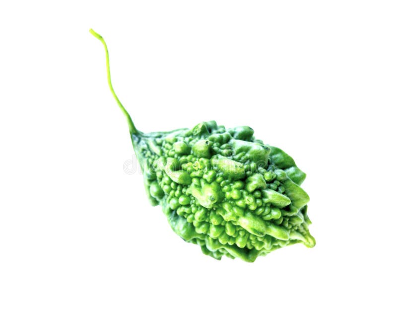 Bitter melon stock image. Image of tomato, nparia, healthy - 91969869