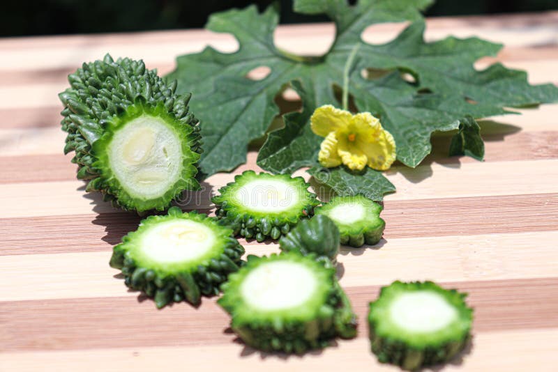 Bitter melon stock on farm stock photo. Image of momordica - 253672402