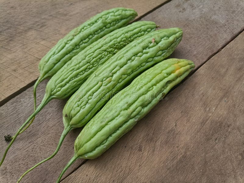 Bitter Melon Vegetable Fruit on the Table with the Scientific Name ...