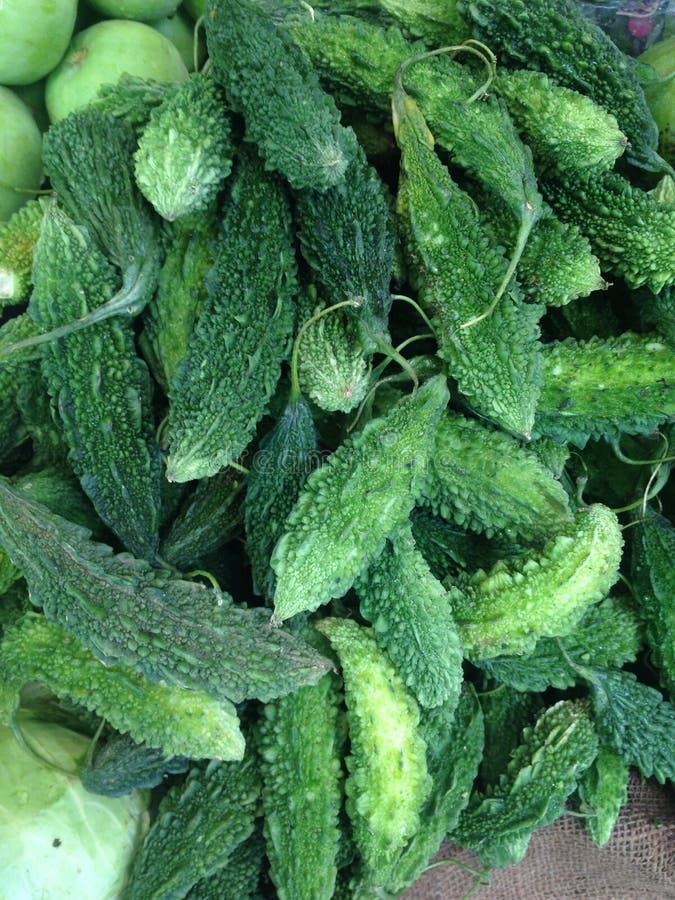 Bitter stock photo. Image of colour, healthcare, bittergourd - 53190006
