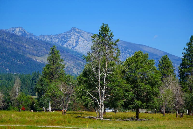 Bitterroot Mountain Valley - Montana Stock Photo - Image of travel ...