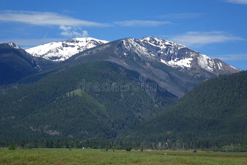 Bitterroot Mountains - Montana Stock Image - Image of meadows, montana ...