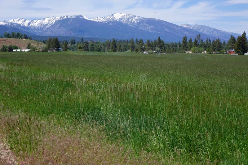 Bitterroot Mountains - Montana Stock Image - Image of landscapes, farm ...