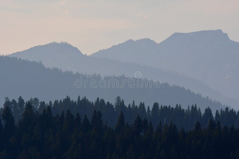 Bitterroot Mountains and Pine Trees. Montana. Stock Image - Image of ...