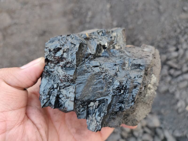 Bituminoso - Carbone Antracite, Carbone Dell'alto Grado a Disposizione ...