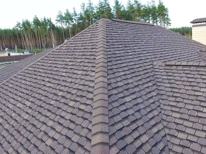 Bituminous Tile for a Roof. House with a Roof from a Bituminous Stock ...