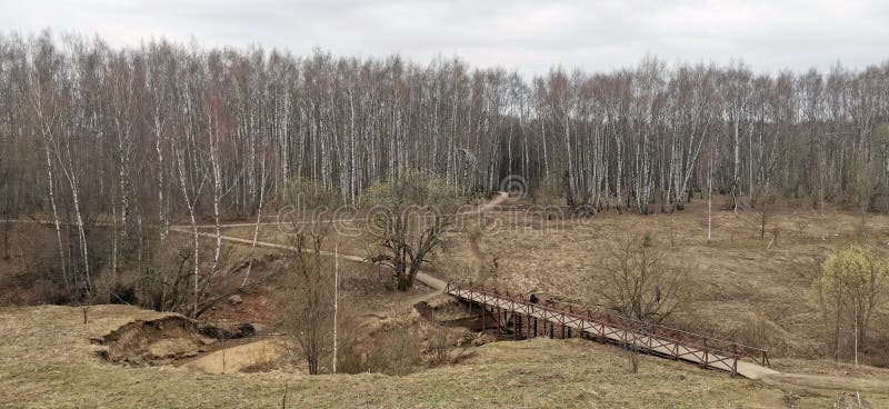 Bitza Forest in the Moscow City, Russia, Spring 2022 Stock Photo ...