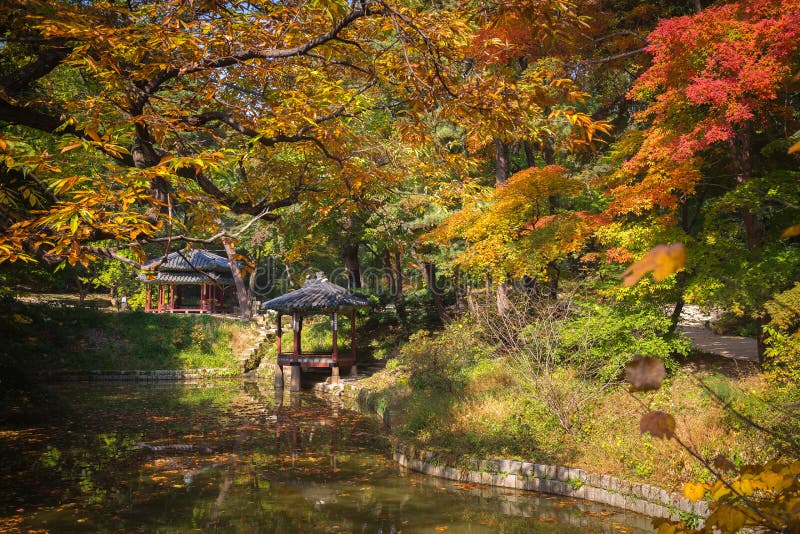 Biwon Garden stock photo. Image of outdoor, history, bright - 45226660