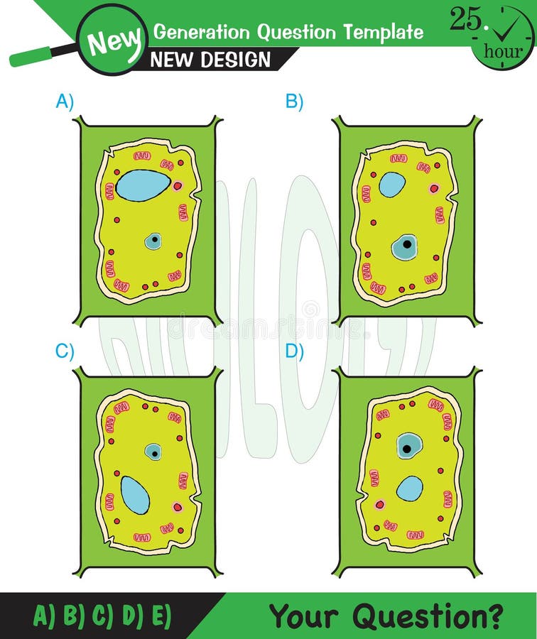 Biology Lecture Notes, Structure of Plant and Animal Cells, Next ...