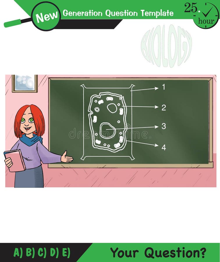 Biology Lecture Notes, Structure of Plant and Animal Cells, Next ...