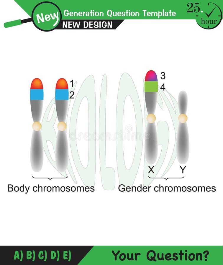 Physics, Genetic Diseases, Carrier Individual, Healthy Individual, Sick ...