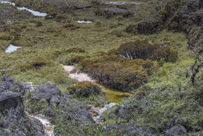 Bizarre Ancient Rocks of the Plateau Roraima Tepui - Venezuela, Stock ...
