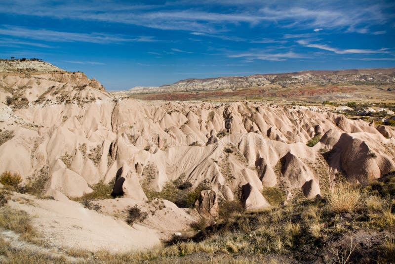 A Dog among Bizarre Geological Formations Due To Erosion at Red Bluff ...