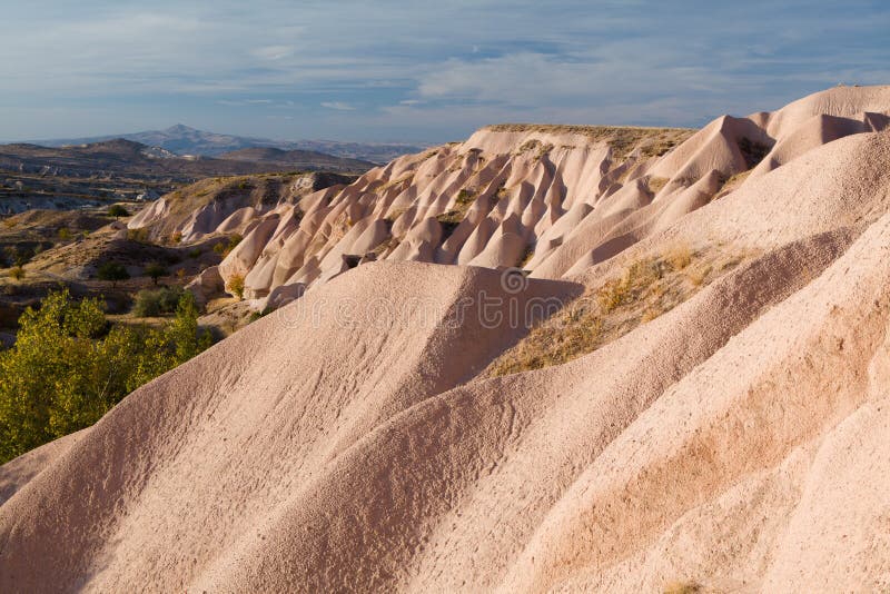 A Dog among Bizarre Geological Formations Due To Erosion at Red Bluff ...