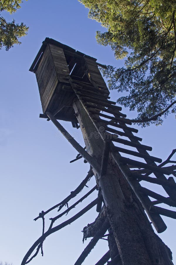 Bizarre Hunting Perch Stock Photos - Free & Royalty-Free Stock Photos ...