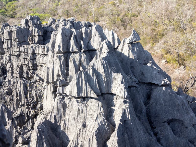 Bizarre Limestone Rock Formations - Tsingy, Reserve Ankarana ...