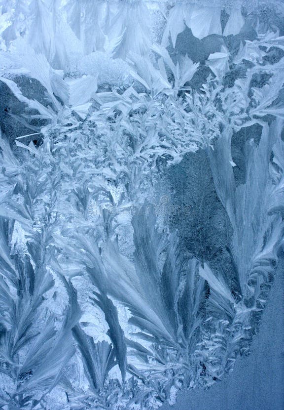 Bizarre natural pattern. stock image. Image of curly - 28981083