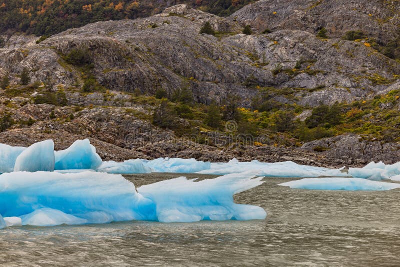 Bizarre Shaped Icebergs in Front of Autumnal Trees at Grey Glacier ... Bizarre Shaped Icebergs in Front of Autumnal Trees at Grey Glacier ...