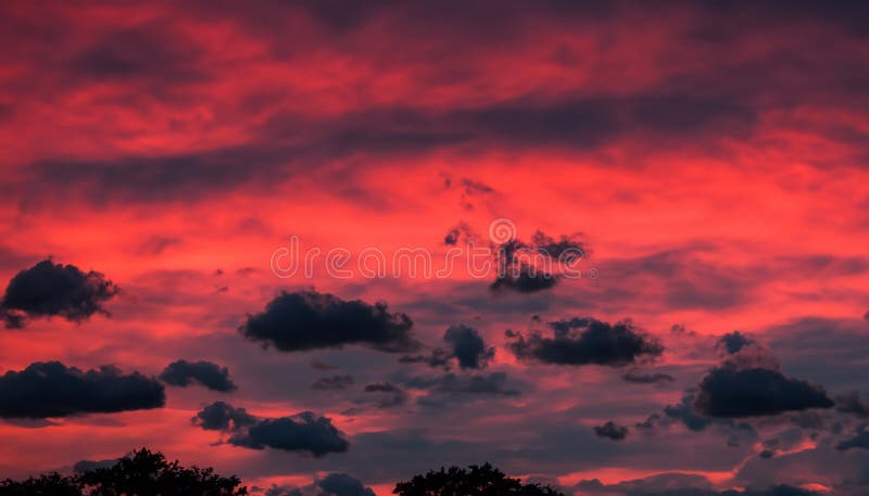 Black Abstract Fmars on a Red Hellish Sky. Stock Photo - Image of ...