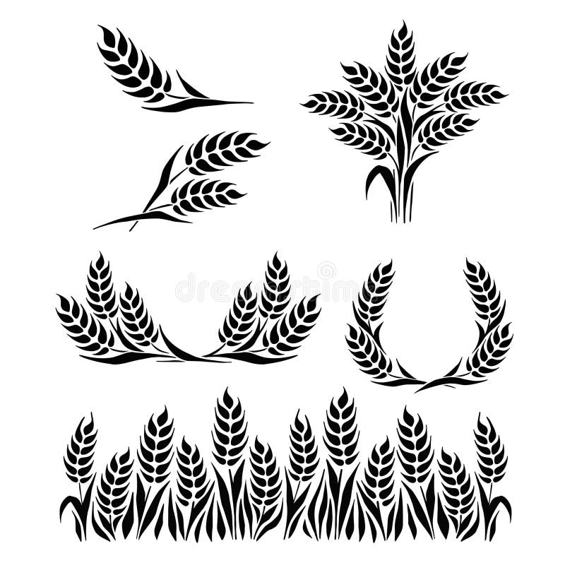 Black Abstract Wheat Ears Hand Drawn Set. Vector Illustration Stock ...