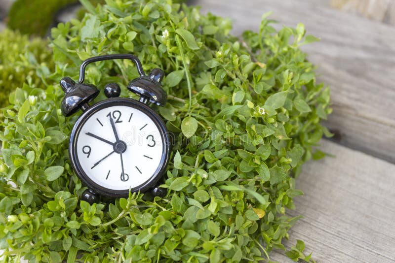 Black Alarm Clock, Spring and Summer Time. Summer Concept Stock Image ...