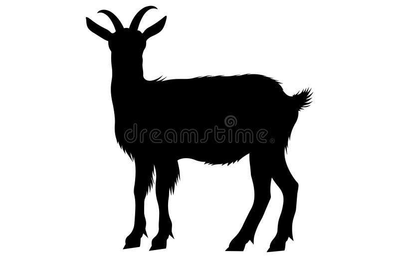 Black Alpine Goat Silhouette, Alpine Ibex Silhouette Illustration Stock ...