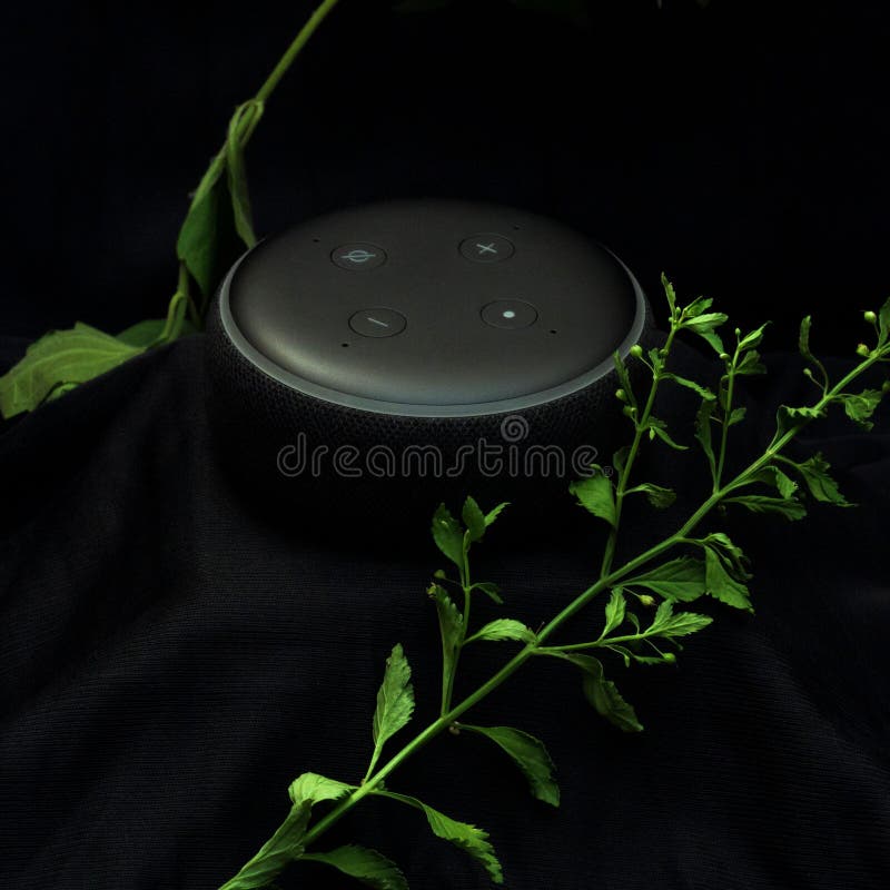 384 Black Virtual Assistant Stock Photos - Free & Royalty-Free Stock ...