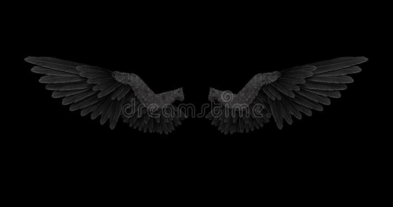 Angel Wings Green Screen Effect Stock Video - Video of drawing ...