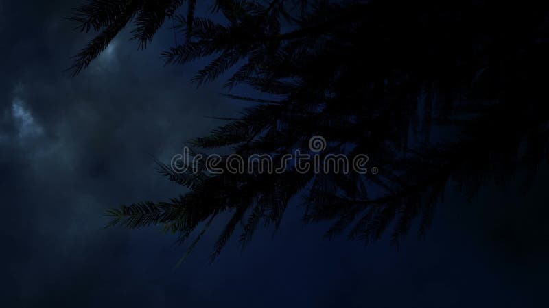 Thunder and Tree Branches Video Stock Video - Video of leaves ...