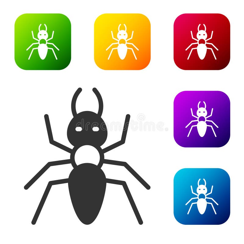 Black Ant Icon Isolated on White Background. Set Icons in Color Square ...