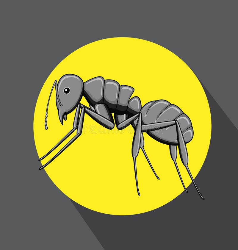 Army Ant Stock Illustrations – 212 Army Ant Stock Illustrations ...