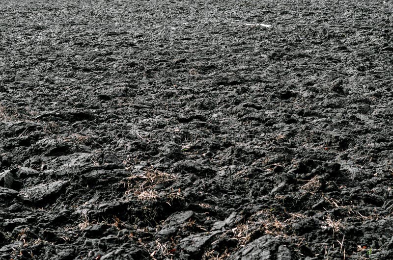 Black Arable Land Plowed in Spring. Soil Preparation in the Field for ...