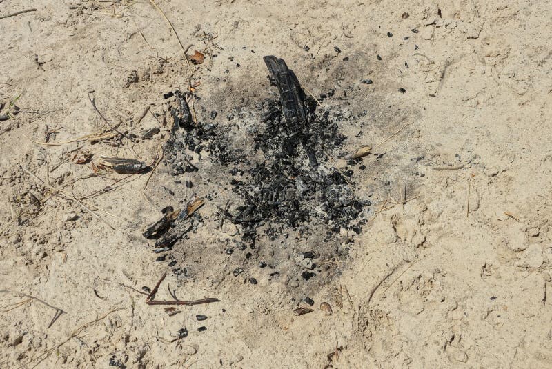 Black Ash in an Extinct Fire on Gray Sand Stock Photo - Image of ...
