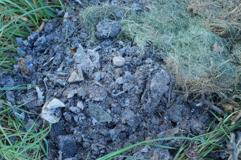 Black Ashes of an Extinct Fire in the Green Grass Stock Image - Image ...