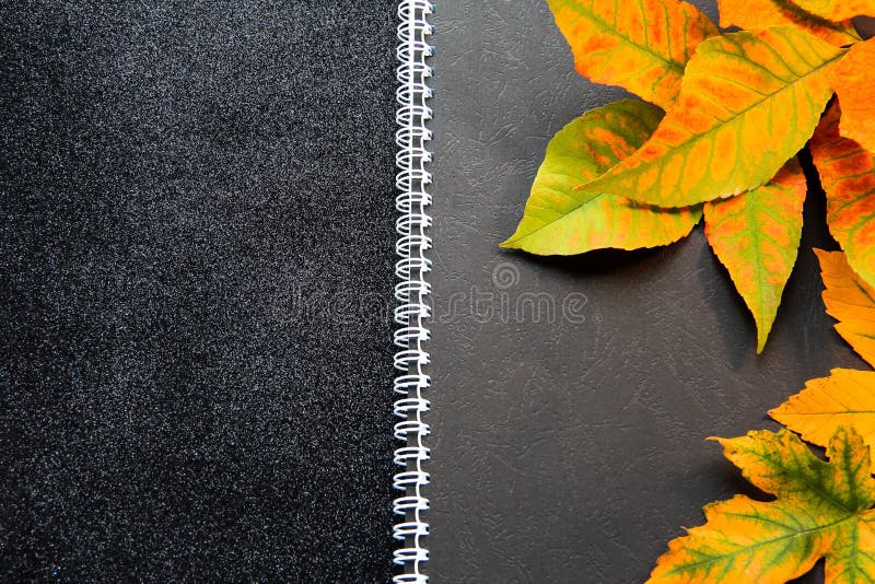 Black Background with Autumn Leaves and Notepad Stock Photo - Image of ...