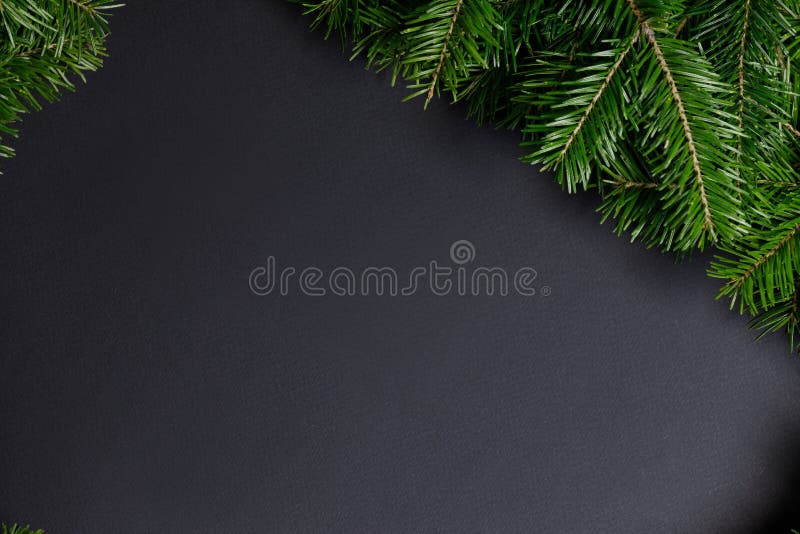 Black Background with Green Fir Tree Stock Photo - Image of border ...