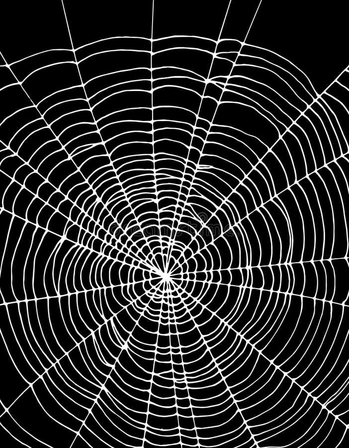 Simple White Spider Web Vector Illustration. Black and White Design ...